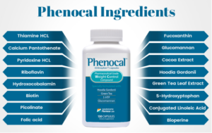 Phenocal Reviews: A Natural Weight Loss Supplement for You!